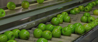 BIOSIDE HS 15% (PAA 15%) - ACIDO PERACETICO 15%, Galón (3.785L ...